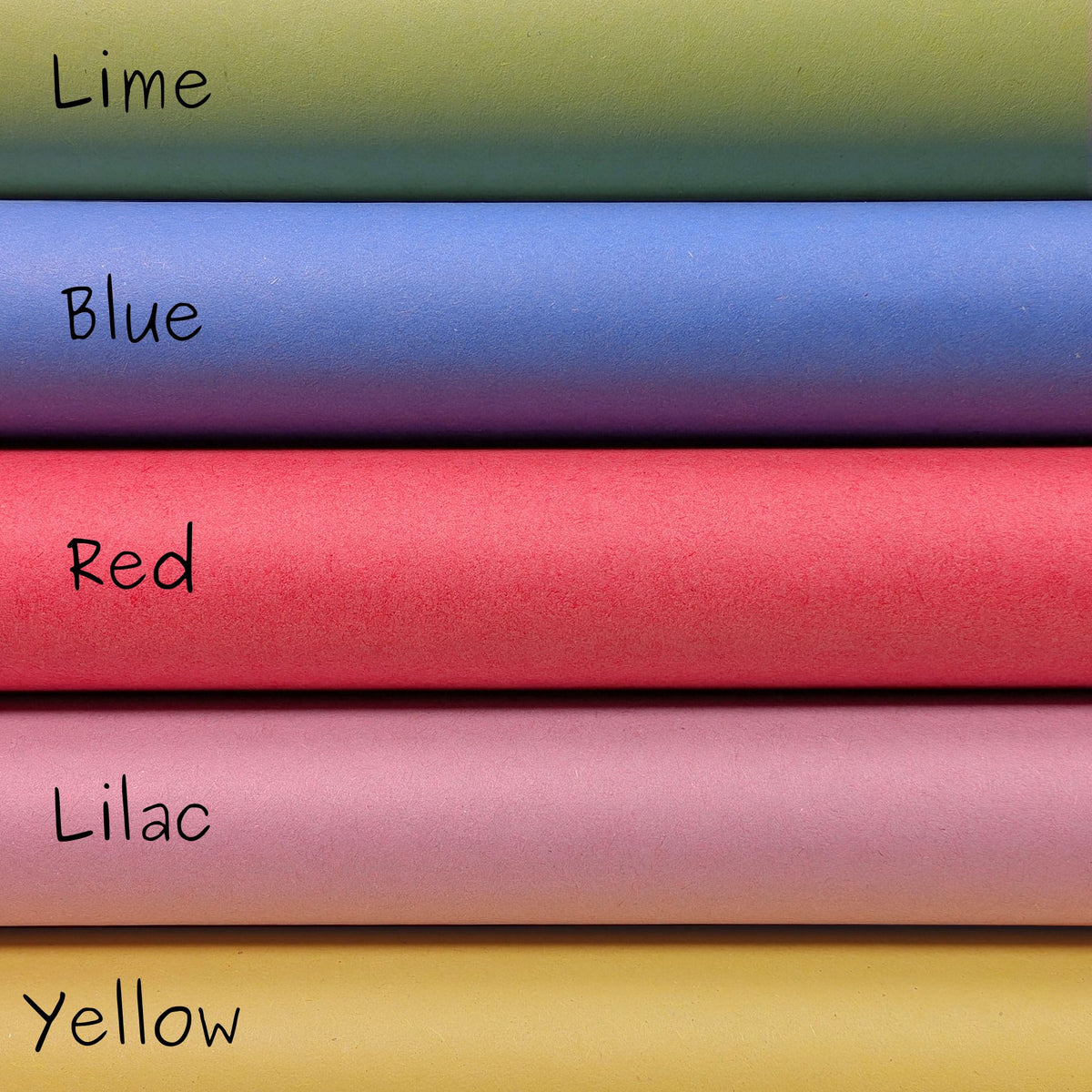 The Recycled Paper Company Wrapping Paper Pack